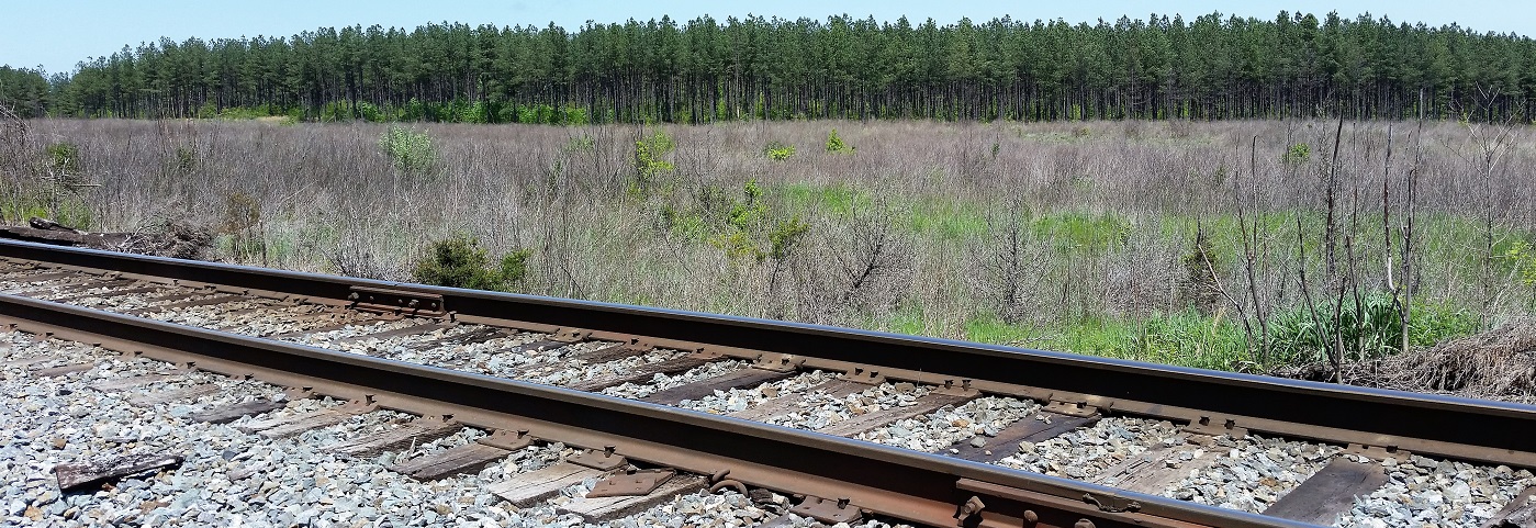 Pendleton Rail Site - Louisa County - BB Richmond & Alleghany Division